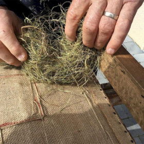 Crin végétal cardé 10 kg. Fibre naturelle de rembourrage pour sièges